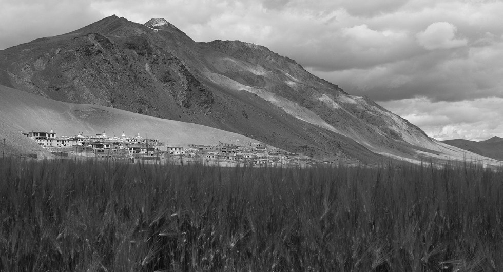 Community-based Homestays: Innovation in Tourism - Vikalp Sangam