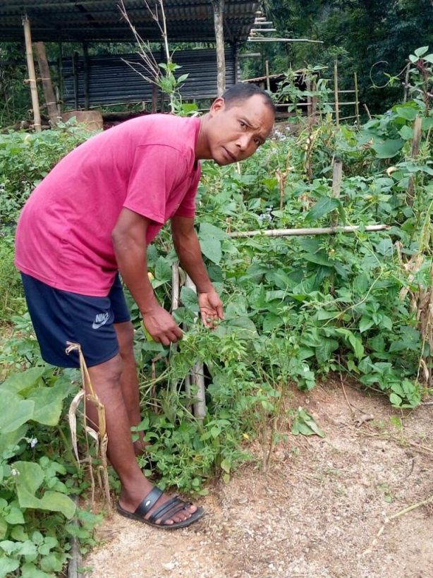 Indigenous farmers stand strong against economic slowdown - Vikalp Sangam