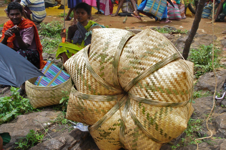 Bamboo forest regeneration efforts planned in Chhattisgarh - Vikalp Sangam