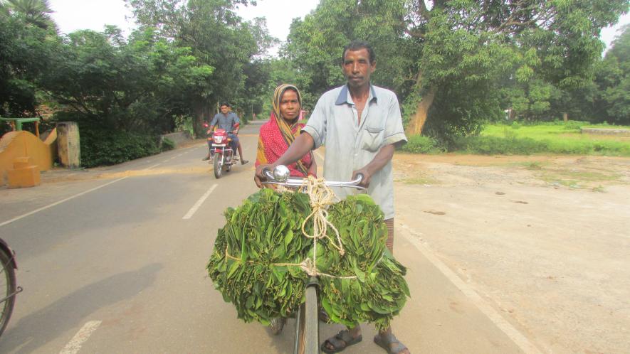 Rural Women Celebrate Siali Uchsav for Forest and Livelihood Protection ...