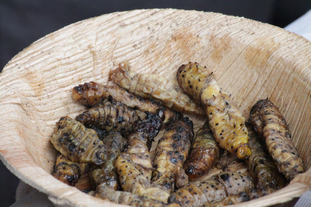 The Food Culture of Khasi Hills - Vikalp Sangam