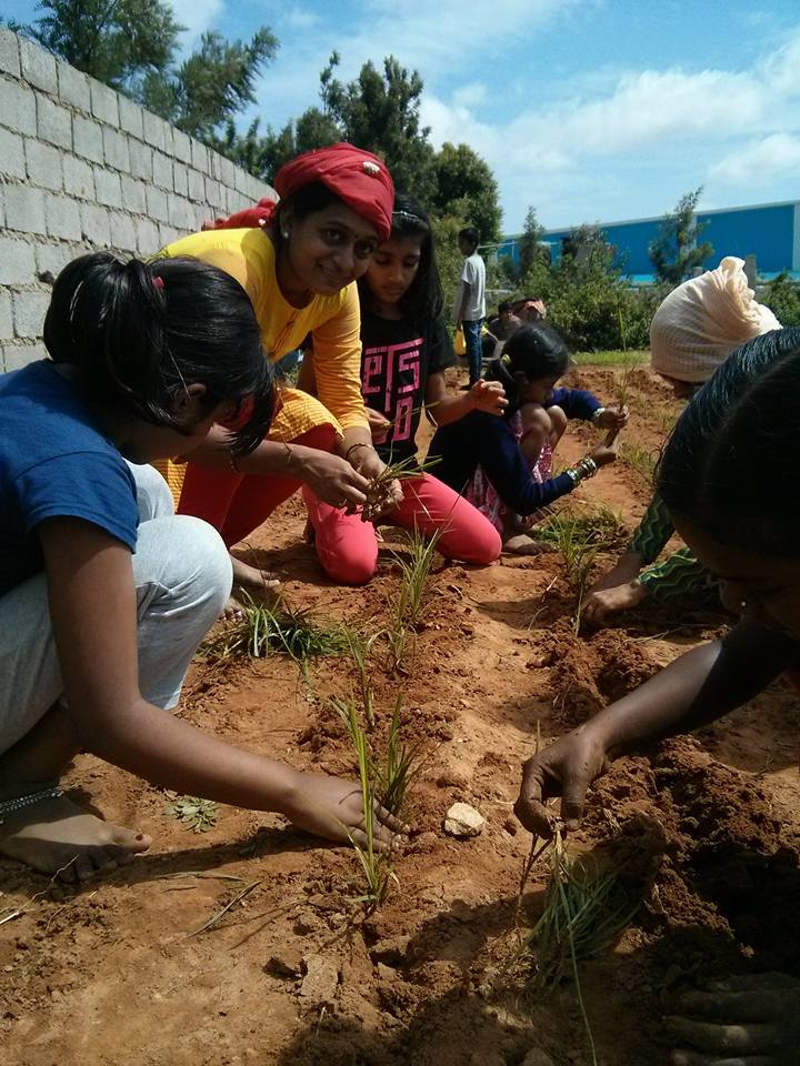Teachers of the future: Teachers’ Voices from an urban school farming ...