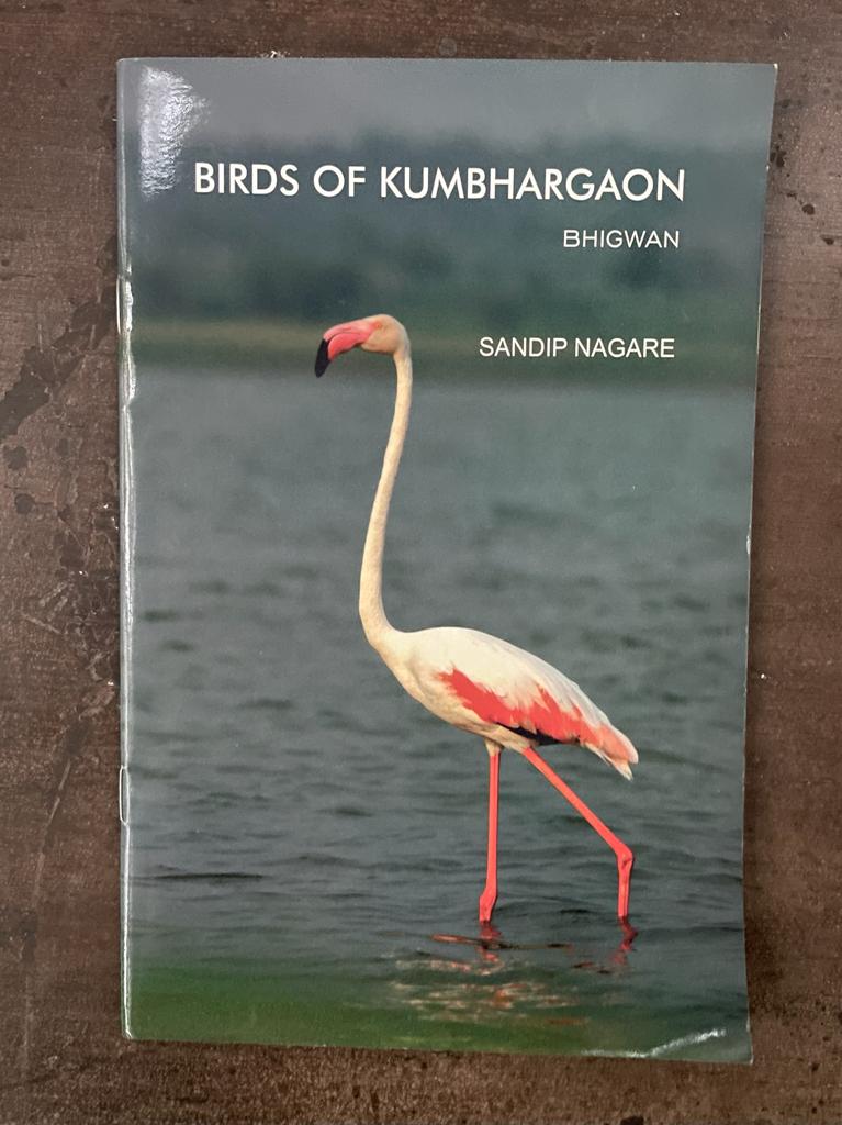 Agnipankh Flamingo Point: Birdwatching as an alternative livelihood ...