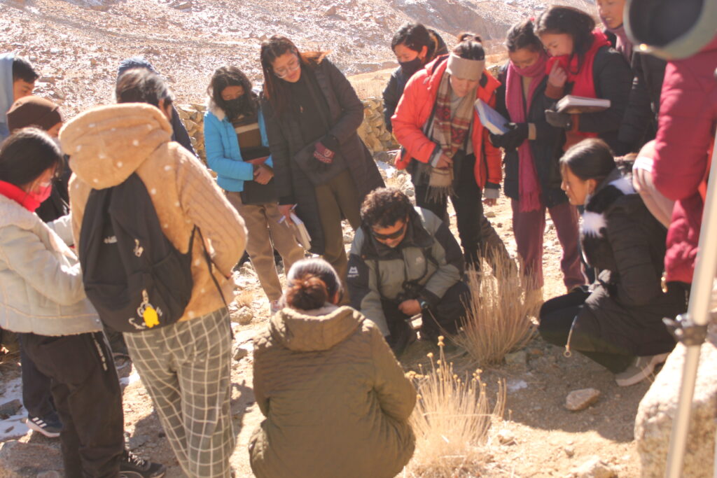 हिम तेंदुआ को कैसे बचाते हैं लद्दाखी? (In Hindi) - Vikalp Sangam