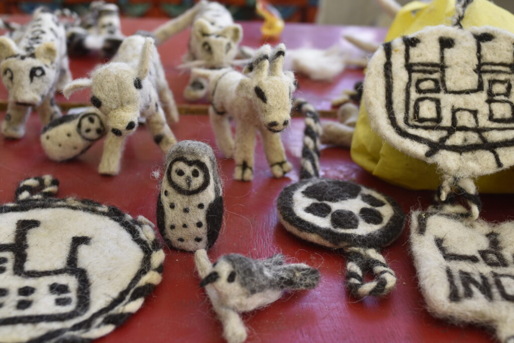 हिम तेंदुआ को कैसे बचाते हैं लद्दाखी? (In Hindi) - Vikalp Sangam