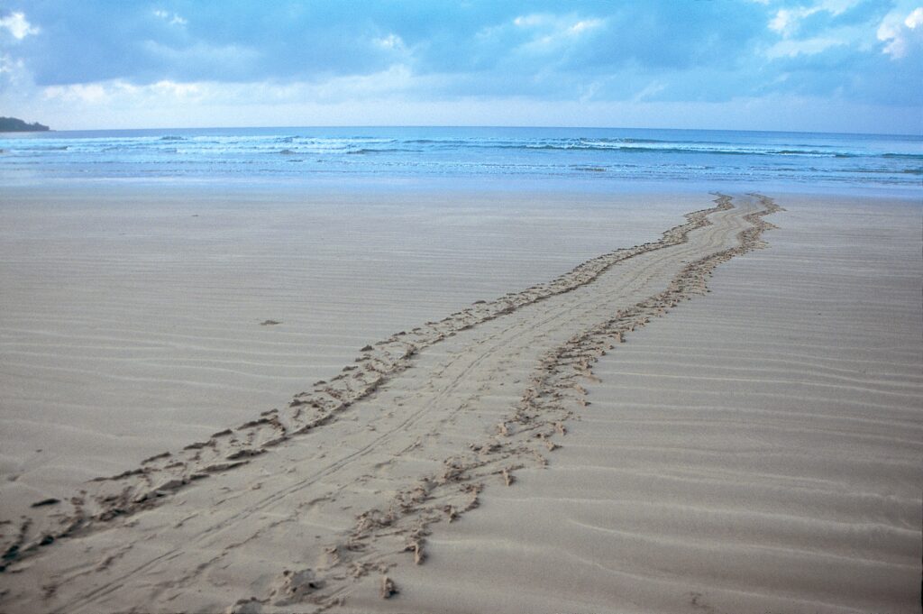 India Budget 2023: Green only in name? - Vikalp Sangam