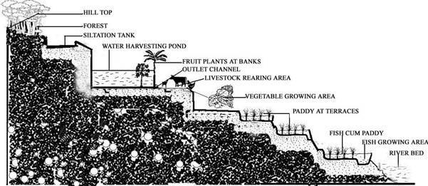 Ruza, a traditional water harvesting system for the water-scarce ...