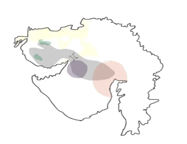 What Time is the Nomad? - Vikalp Sangam