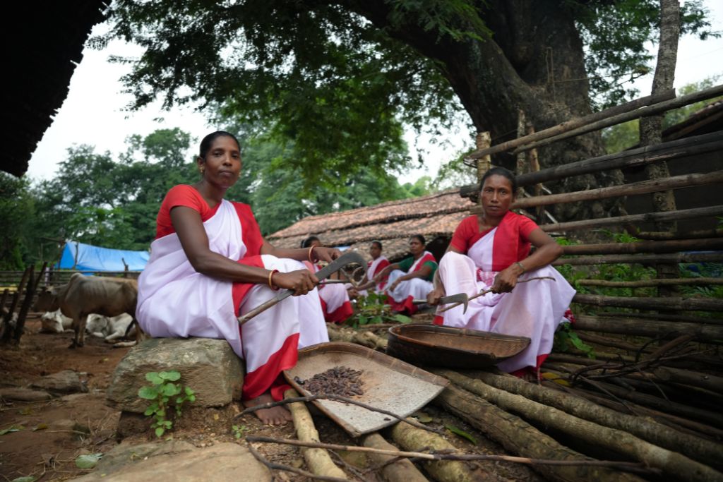 Munda women are safeguarding indigenous food systems - Vikalp Sangam