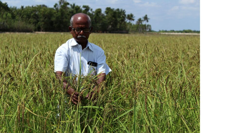 Tamil Nadu farmers fight drought with organic farming - Vikalp Sangam