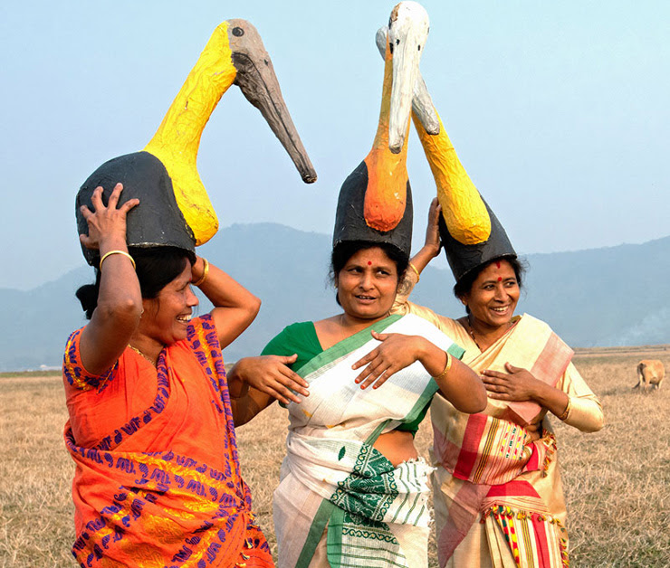 Meet the Indian Scientist Who Gave the Greater Adjutant Stork an Image ...