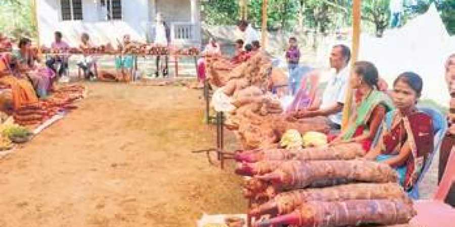 Sellers make brisk business at tuber mela - Vikalp Sangam