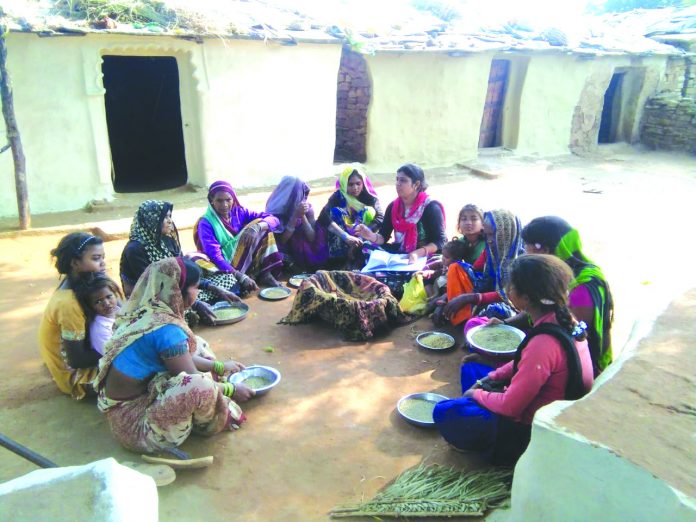 Community seed banks give Sahariyas a new lease of life - Vikalp Sangam