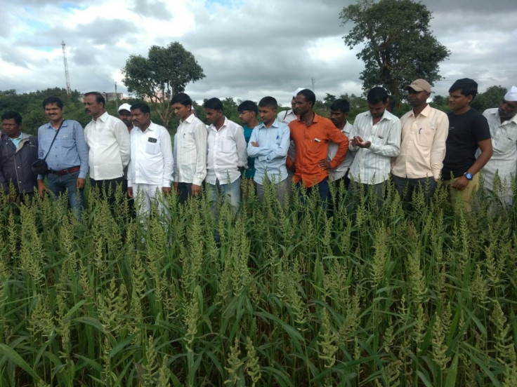 Government of Maharashtra to study “Odisha Millets Mission” to initiate ...