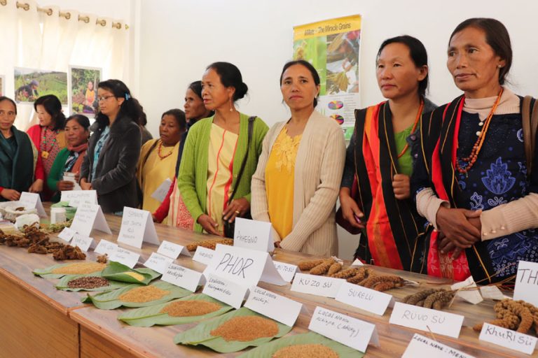 Millet farmers devise mechanism to counter Climate Change - Vikalp Sangam