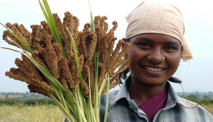 Farmers turn to millets as a climate-smart crop - Vikalp Sangam