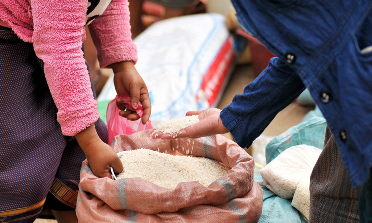 Study calls for review of nutritional benefits of food subsidy ...