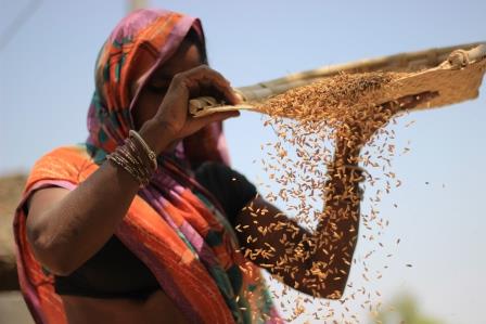 How a Remote Bihar Village Ushered in an Organic Farming Revolution in ...