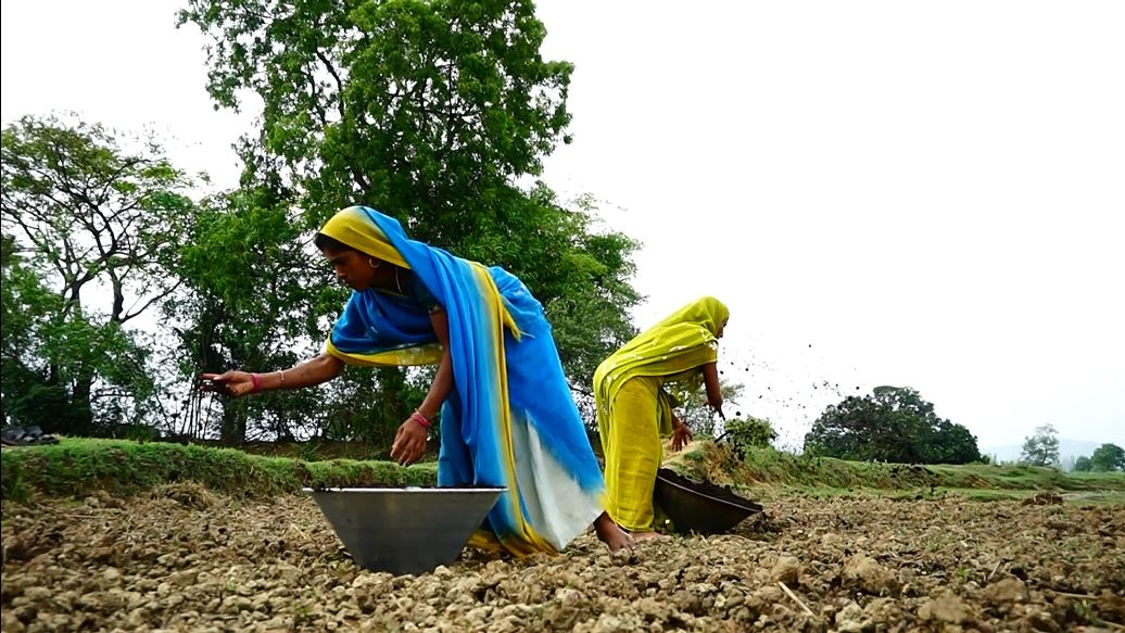 How a Remote Bihar Village Ushered in an Organic Farming Revolution in ...