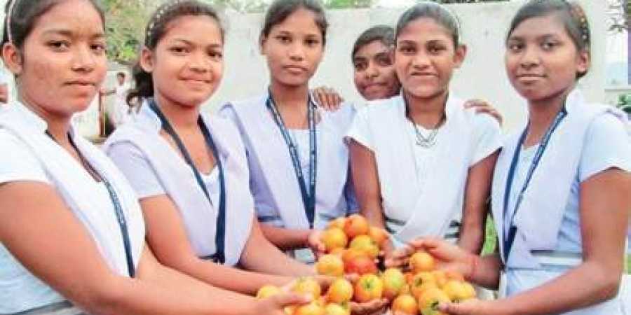Organic farm lessons for school students - Vikalp Sangam