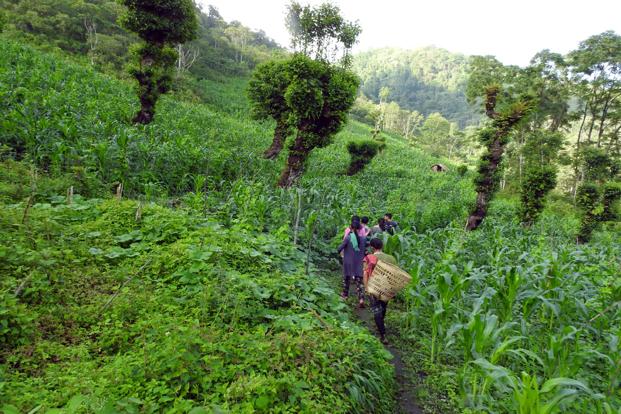 The Chizami model of development - Vikalp Sangam
