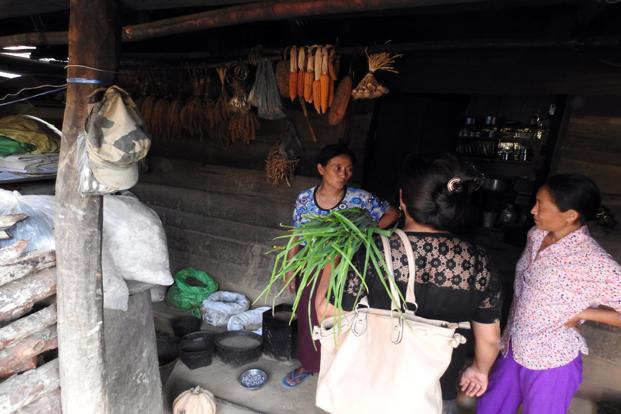 The Chizami model of development - Vikalp Sangam