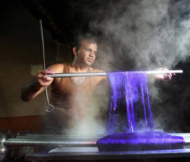 The peacocks of Yeola - Vikalp Sangam