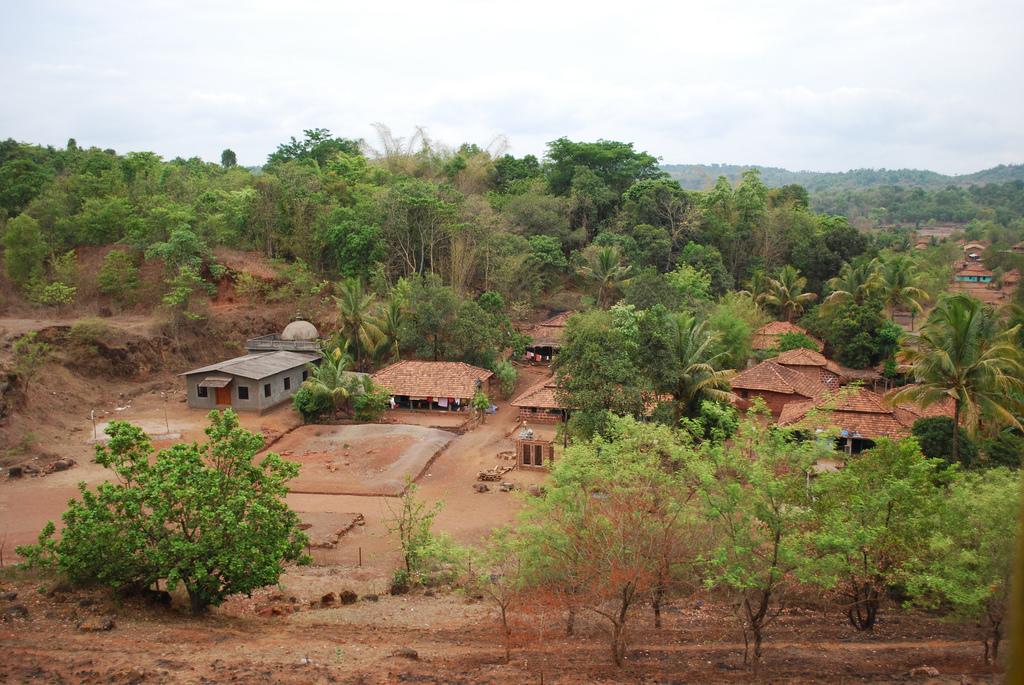 Balancing rights and responsibilities: community-based forest ...