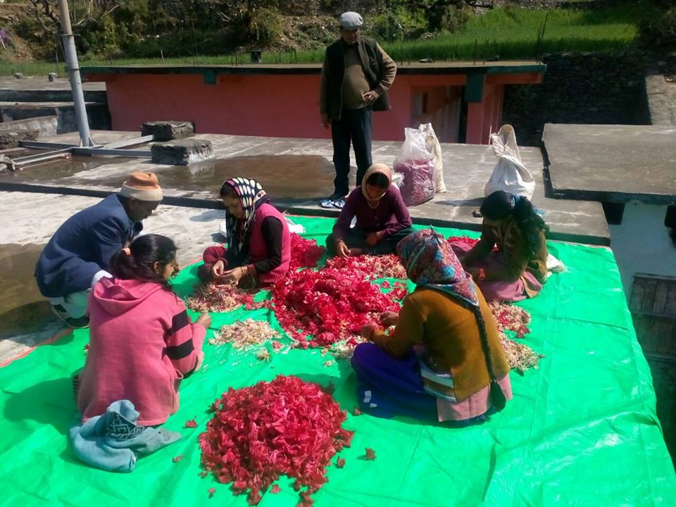 Tourism and organic farms in Uttarakhand villages inspires thousands of ...