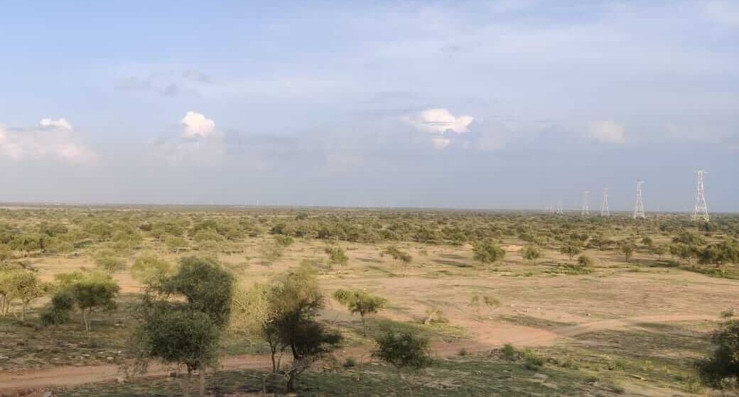 Reviving the Thar Desert’s Camel Culture - Vikalp Sangam