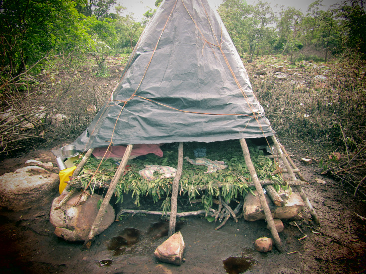 The Makeshift Huts – Indigenous Agro-pastoral Communities - Vikalp Sangam