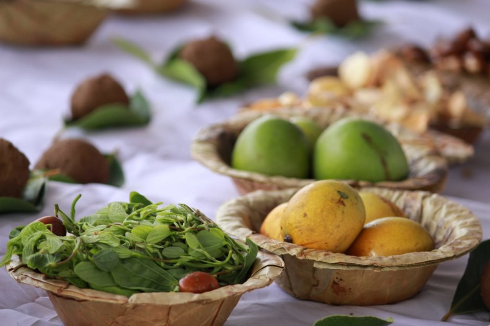 Kondh Ingenuity: An Unsentimental Reverence to Nature - Vikalp Sangam