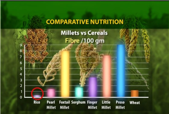 MILLETS - The Miracle Grains - Vikalp Sangam