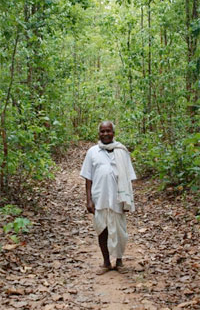 The story of a principled chief conservator of forests in Bastar ...